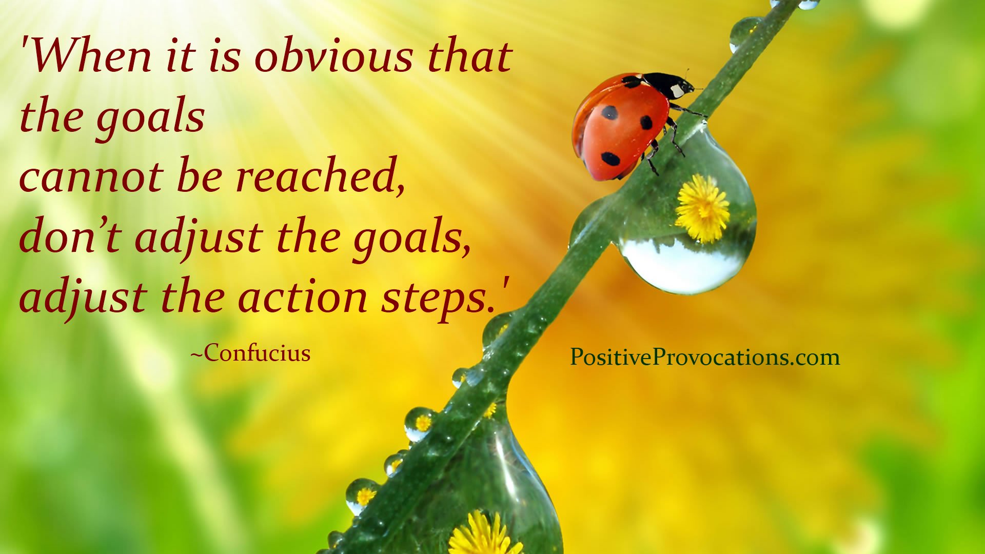 How to Take Positive Action – just one small positive step! – Positive ...