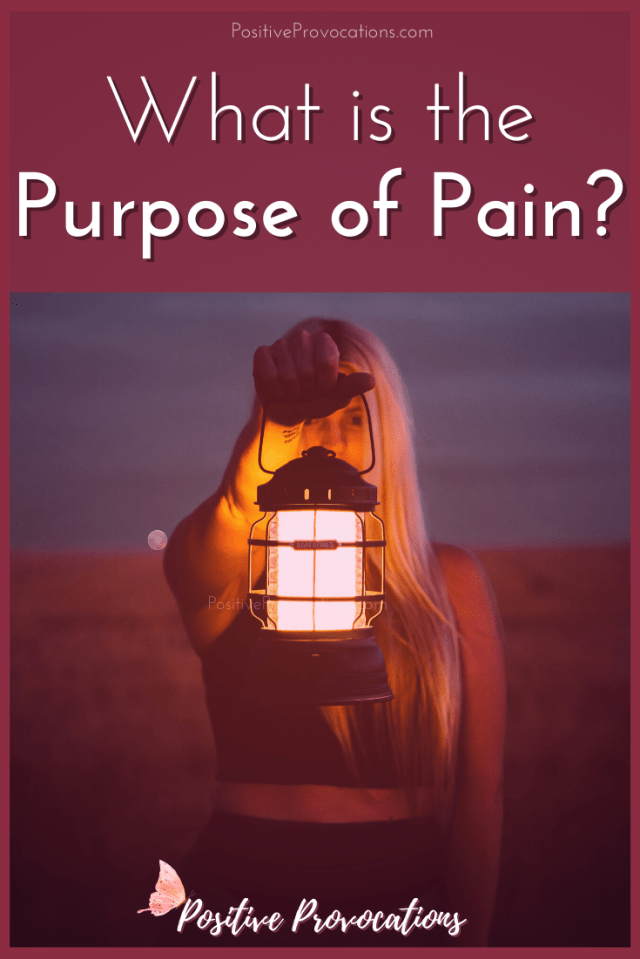 What is the Purpose of Pain? – Positive Provocations
