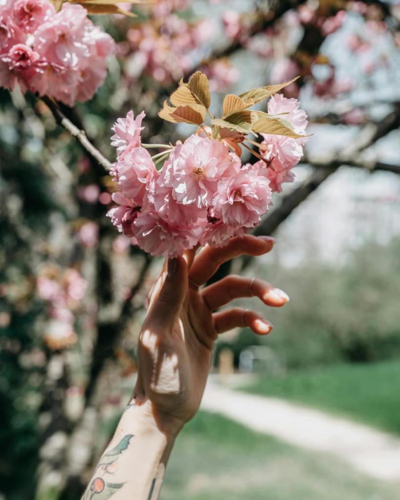 10 Gentle Signs That You Are Stressed(& that your soul is asking for ...